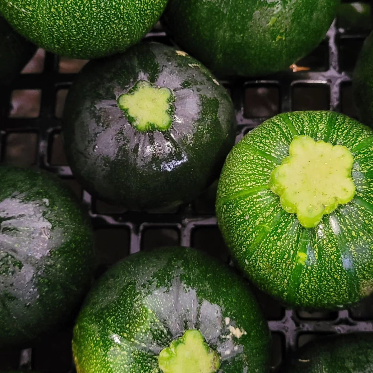 Organic Baby Gem Squash 350g – Valota