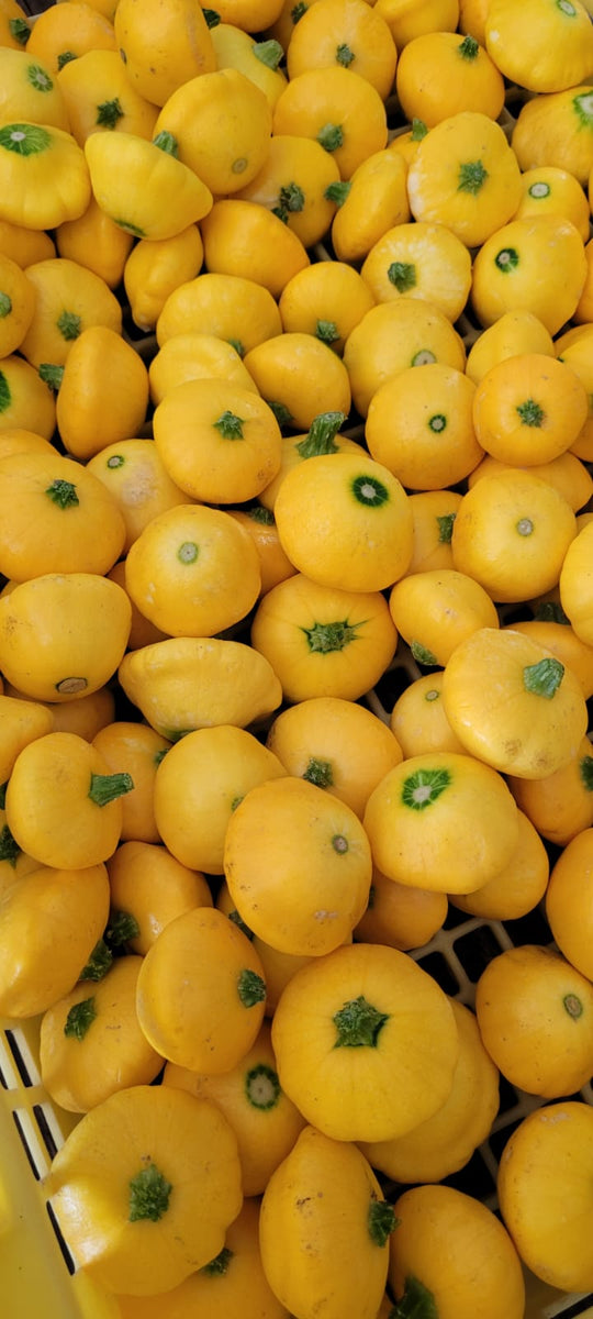 Organic Patty Pans 350g – Valota