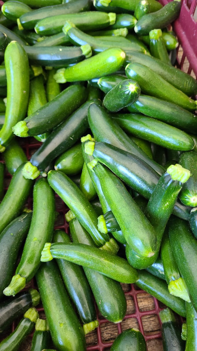 Organic Baby Marrows 350g – Valota